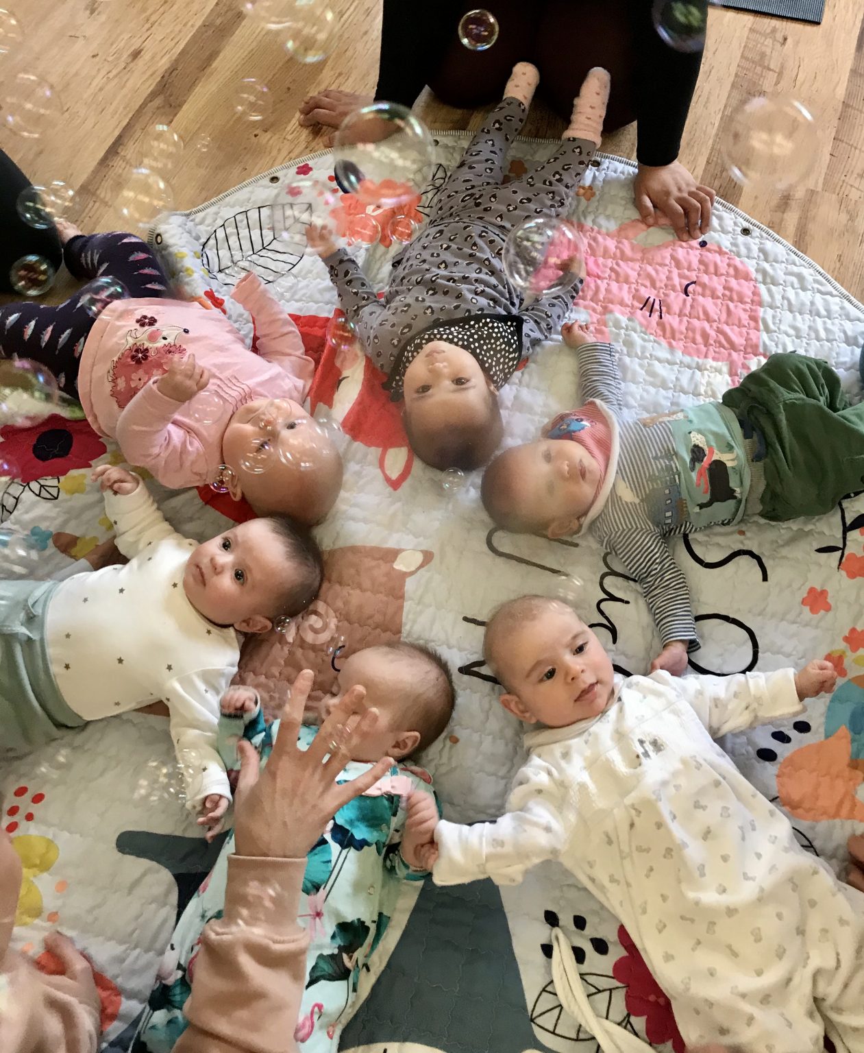 Home - Maria Kelly Yoga