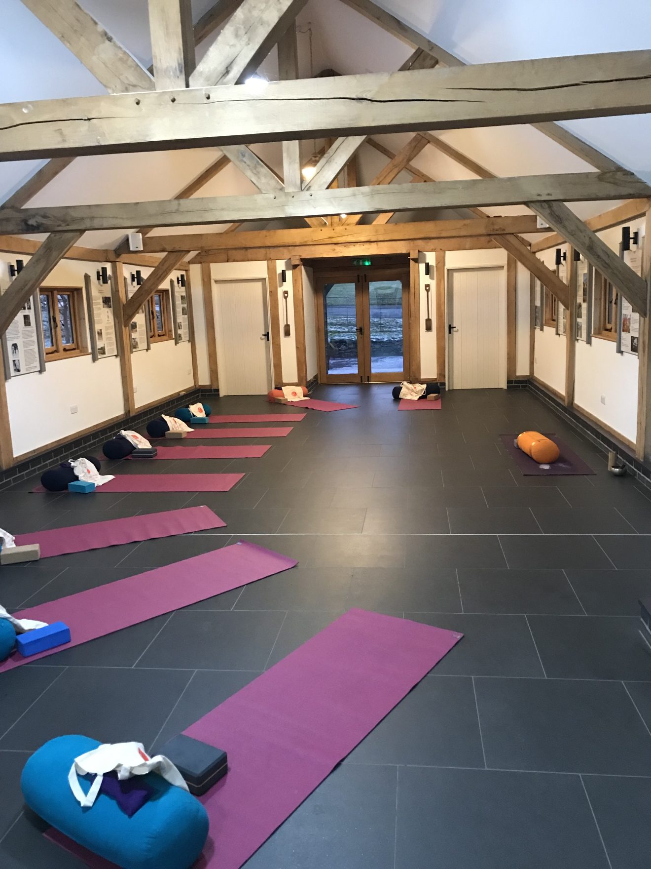 Home - Maria Kelly Yoga