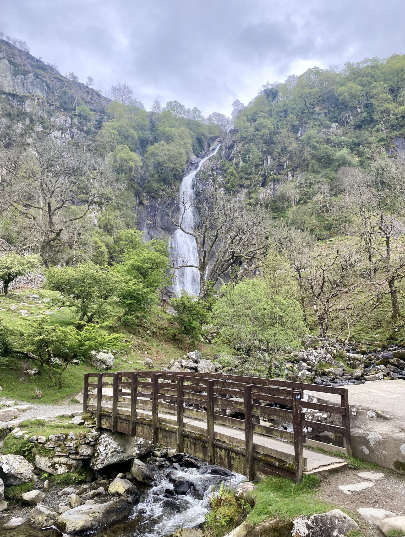 Home - Maria Kelly Yoga